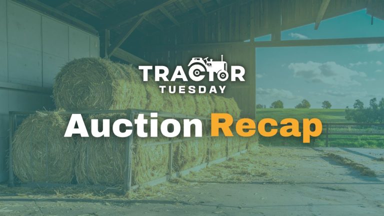 Hay & Forage Auction Recap: Strong Reach, Mixed Results, and a Look ...